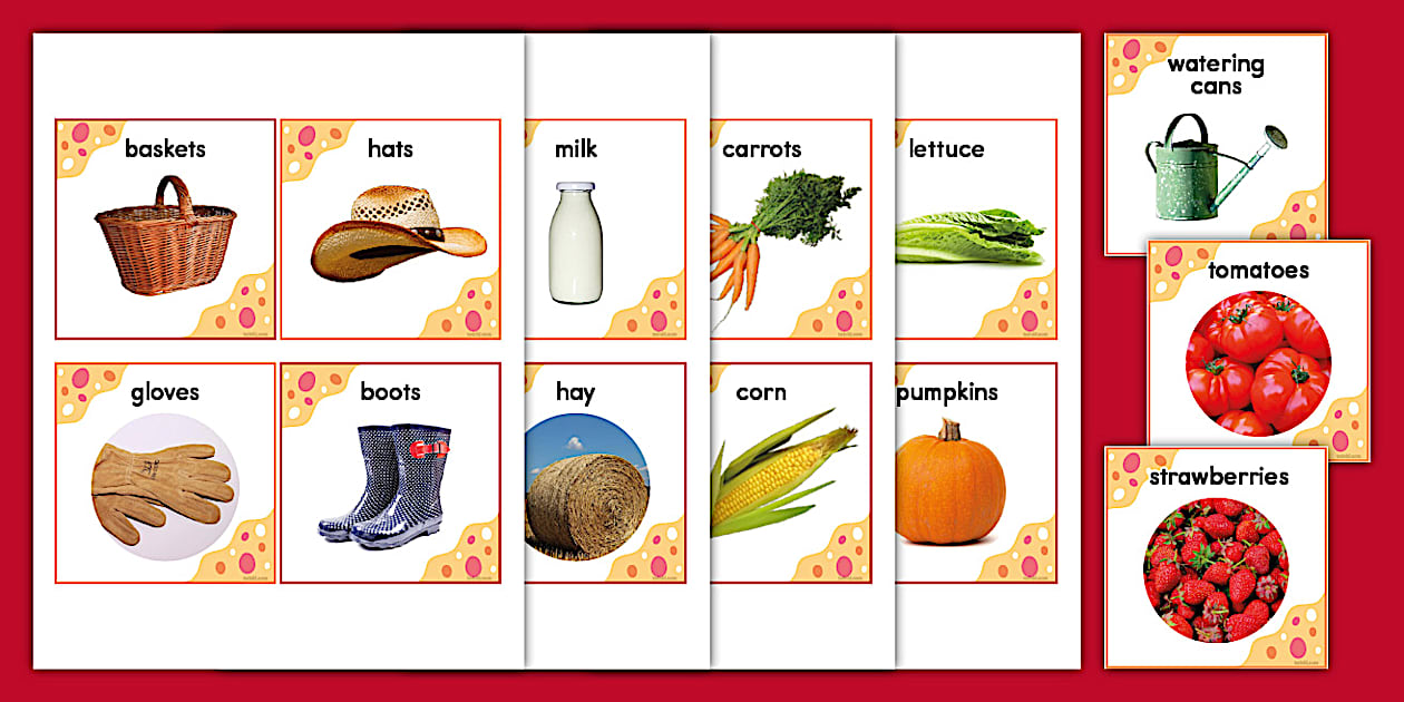 Farm Dramatic Play Labels (teacher made) - Twinkl