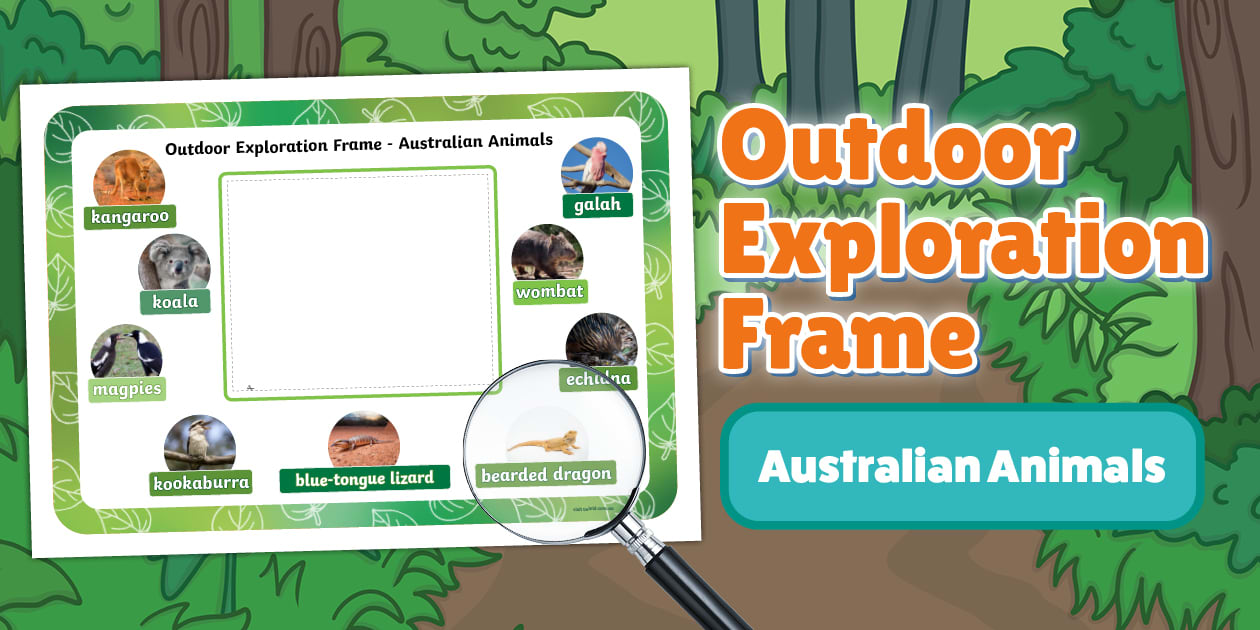 Outdoor Exploration Frame - Australian Animals