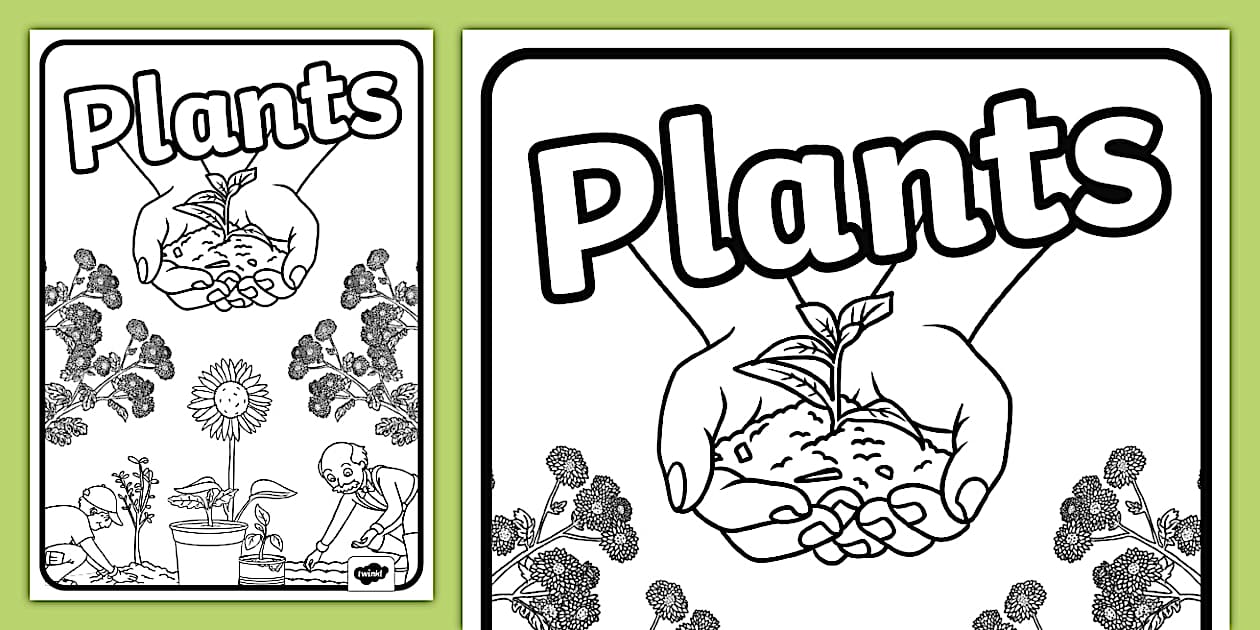 Plants Colouring Title Page (l'enseignant a fait) - Twinkl