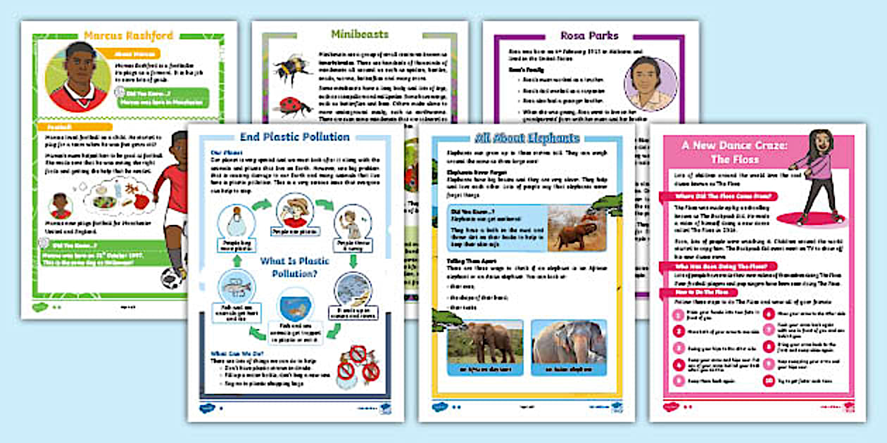 KS1 Non-Chronological Reports Resource Examples Pack