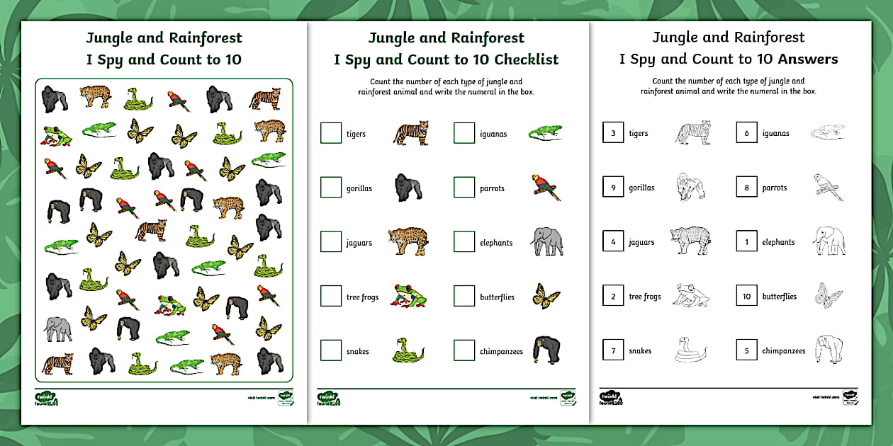 Jungle and Rainforest Maths | I Spy and Count Activity to 10