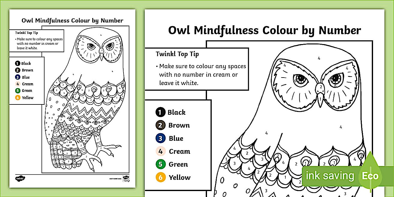 Owl Mindfulness Colour by Number Activity - Twinkl