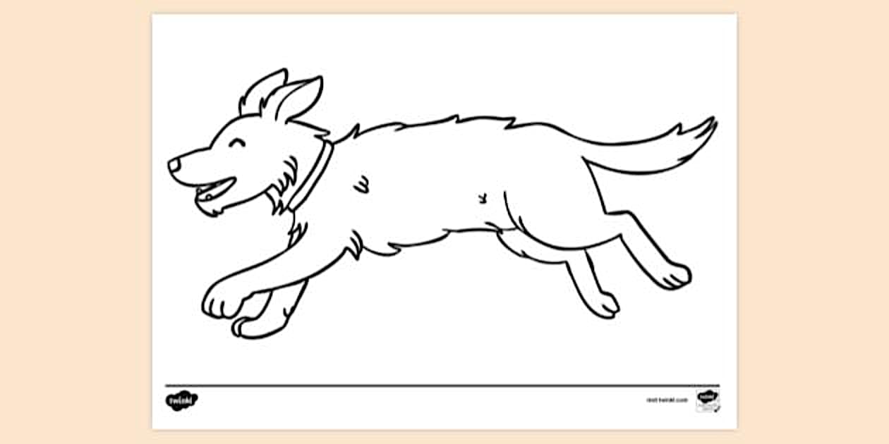 Dog Running Colouring Sheet | Colouring Sheets - Twinkl