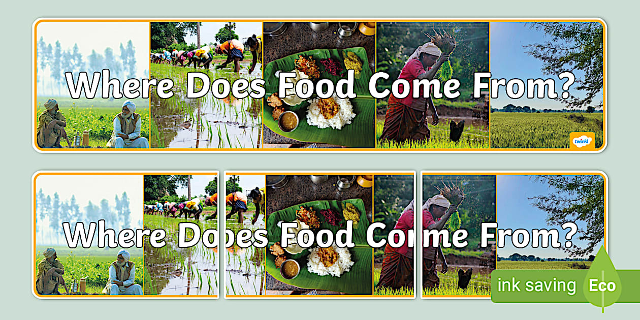 Where Does Food Come From? Photo Display Banner - Twinkl