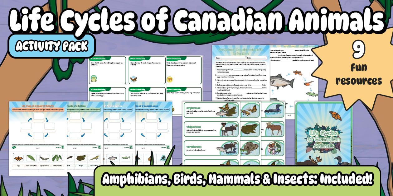 Life Cycles of Canadian Animals Activity Pack
