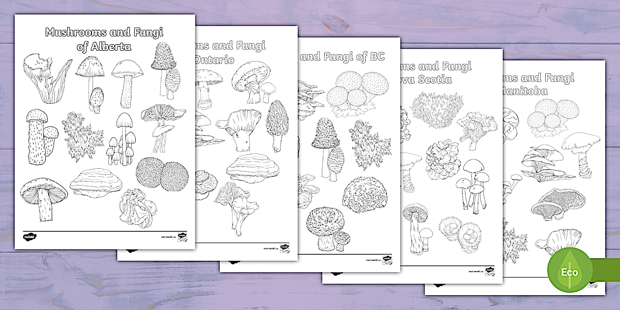 Canadian Fungi Colouring Sheets (teacher made) - Twinkl