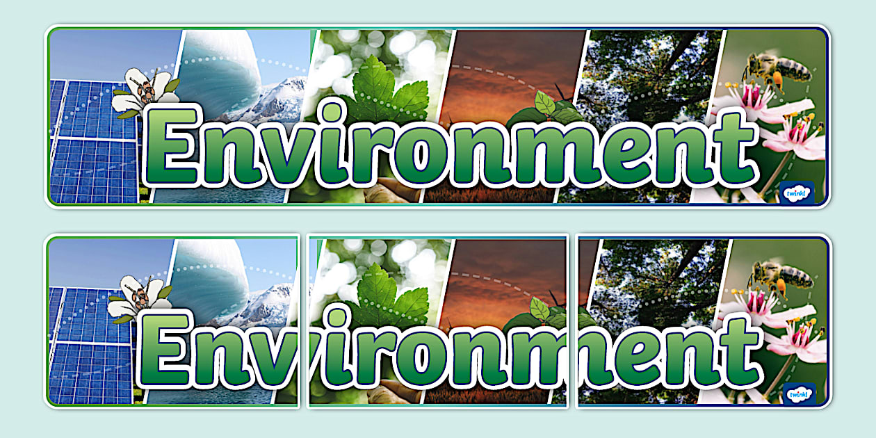 Environment Photo Display Banner (Teacher-Made) - Twinkl