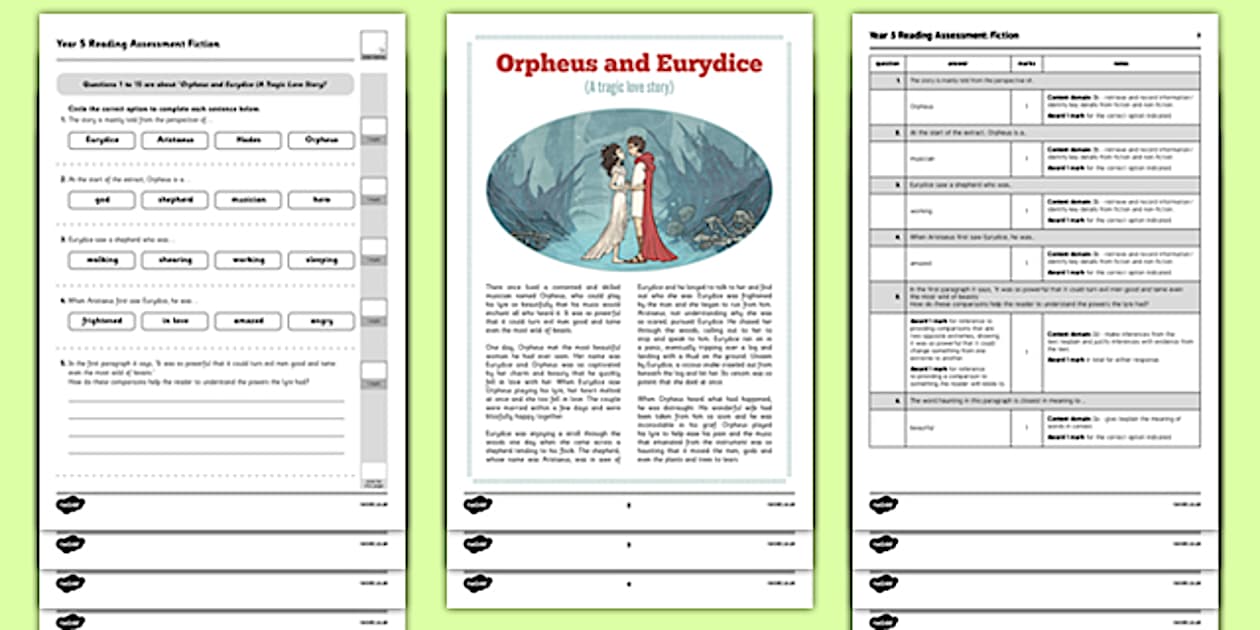 Year 5 Term 3 Fiction Reading Assessment - Twinkl