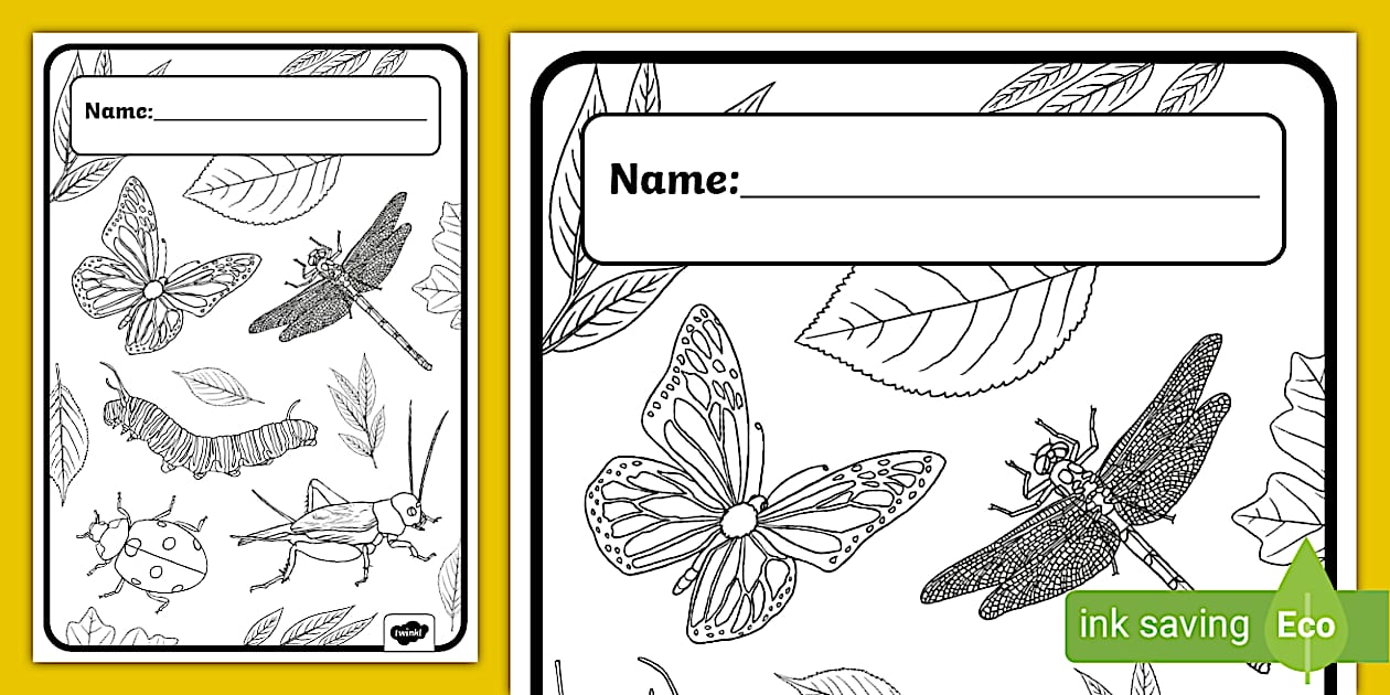Insects Colouring Book Cover for Kids: Download from Twinkl!