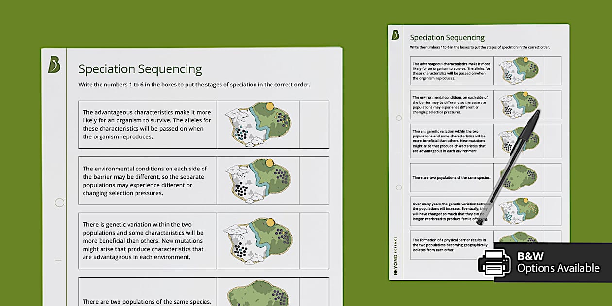 Speciation Sequencing Worksheet (teacher made) - Twinkl