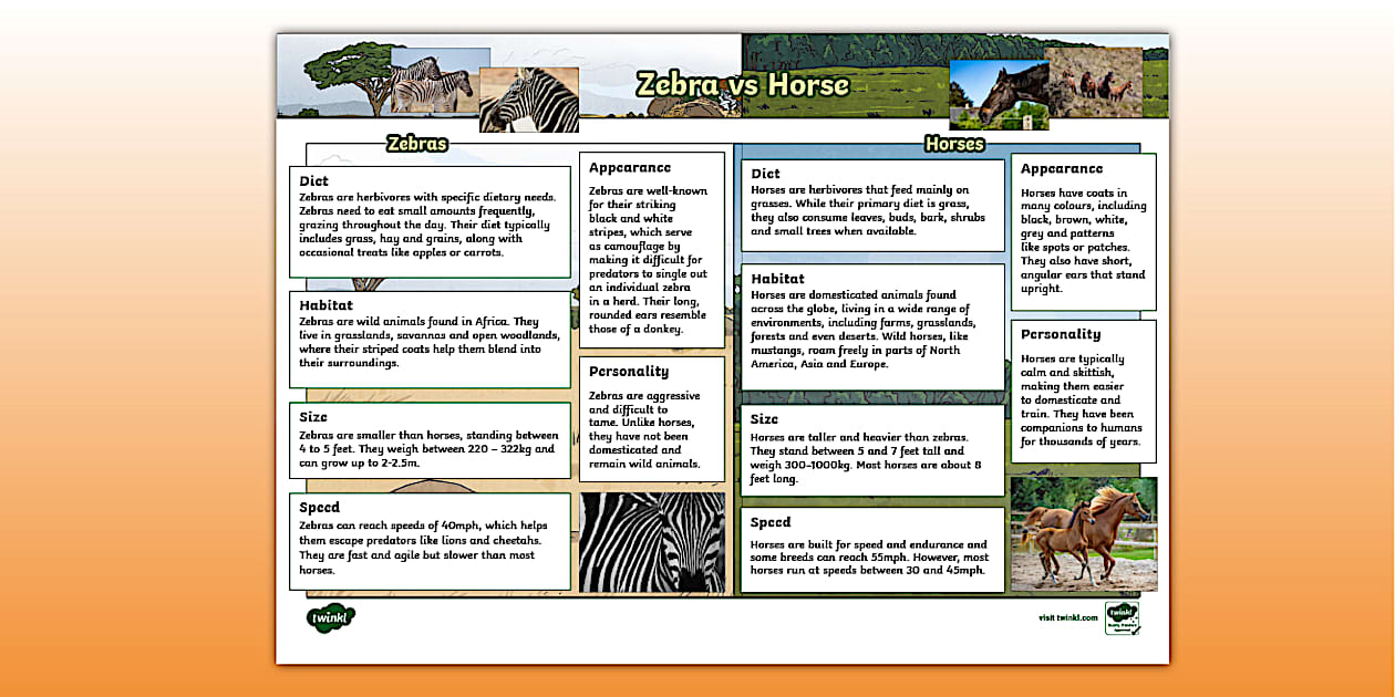 Zebra vs Horse Fact File (Teacher-Made) - Twinkl