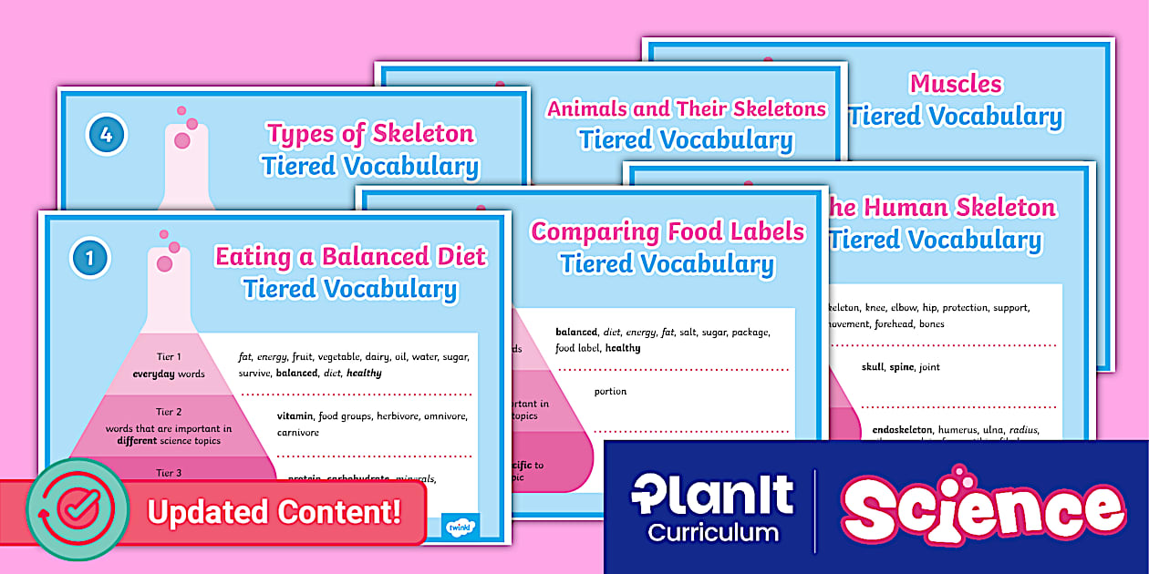 Y3 Tiered Vocabulary Posters for Animals Including Humans
