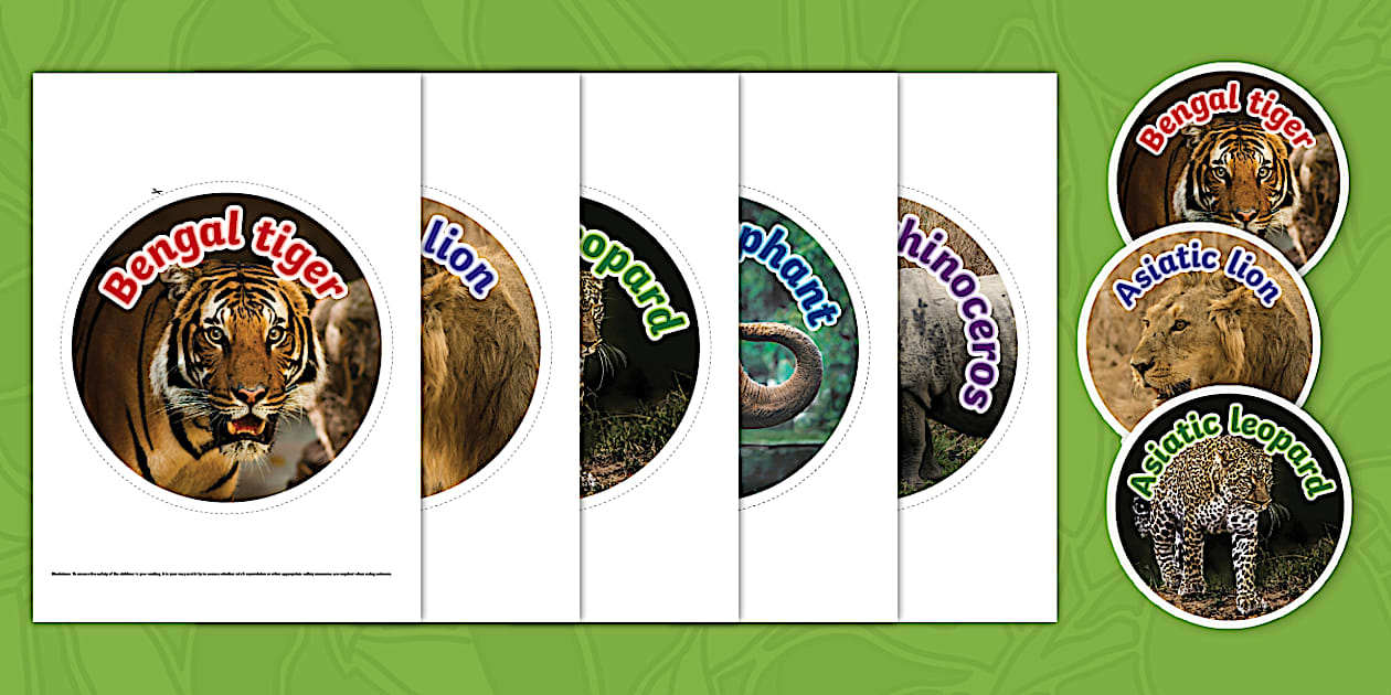 India's Big Five Circle Display Photo Cut-Outs - Twinkl