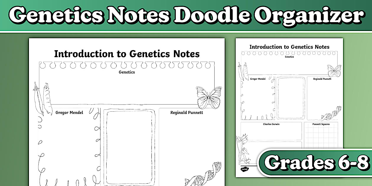 Genetics Punnett Square Notes Doodle Organizer for 6th-8th