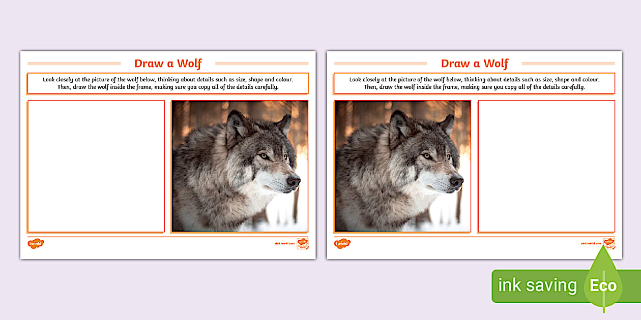 Draw a Wolf Art Activity,wolf - Twinkl