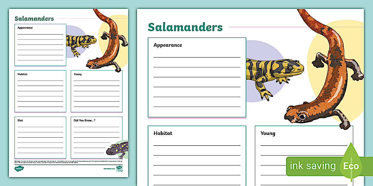 Salamanders Fact File Template (teacher made) - Twinkl