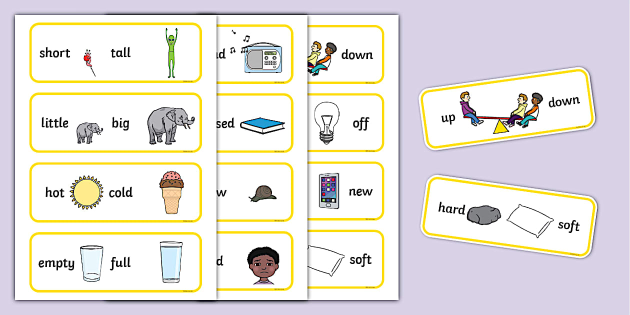 Basic Concept Cards (teacher made) - Twinkl