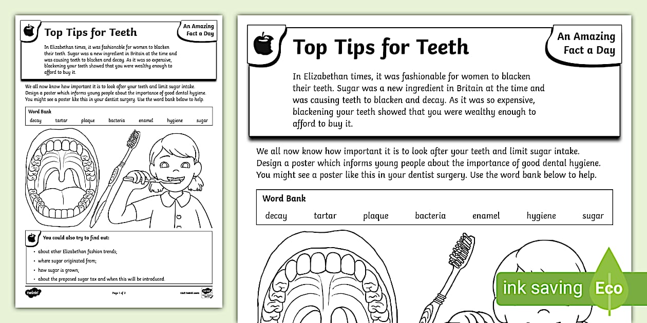 Teeth Worksheet - KS2 - Teacher Resources - Printable