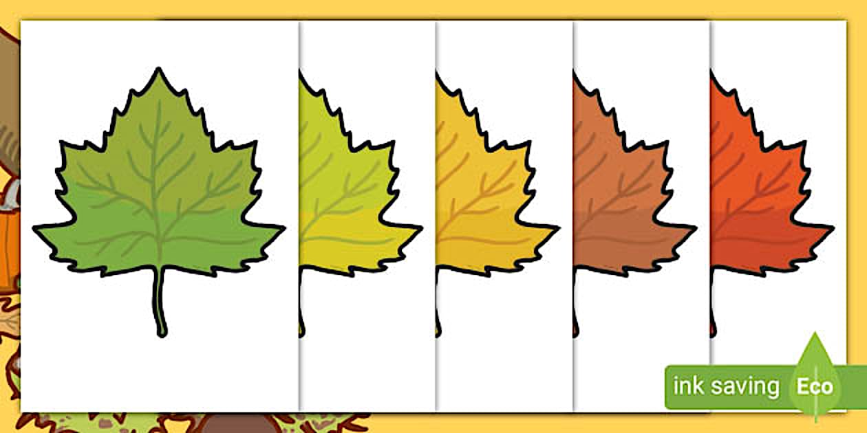 👉 Printable Pictures Of Autumn Leaves A4 Cut-Outs