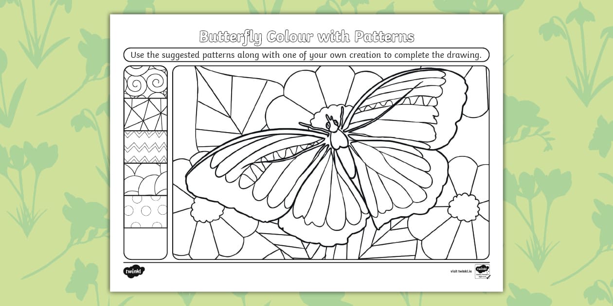 Butterfly Colour with Patterns Activity