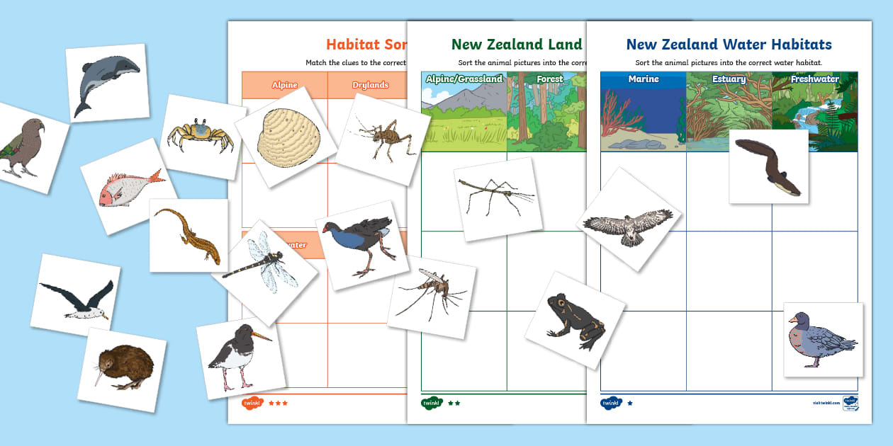 New Zealand Habitat Sorting Activities (teacher made)