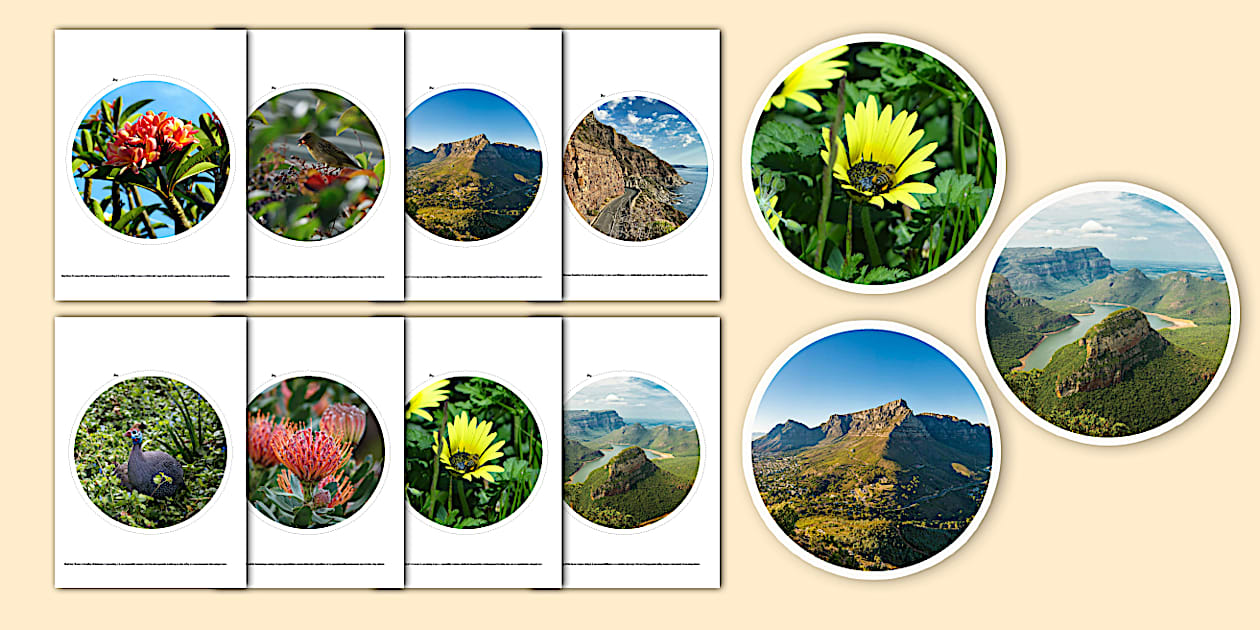 Spring Circle Display Photo Cut-Outs - Twinkl
