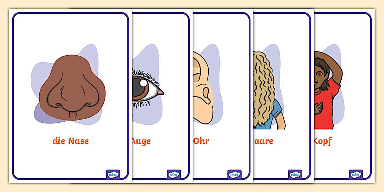 Body Parts - German Display Posters (teacher made) - Twinkl
