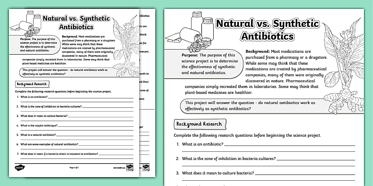 Natural Vs Synthetic Antibiotics Project | Twinkl USA