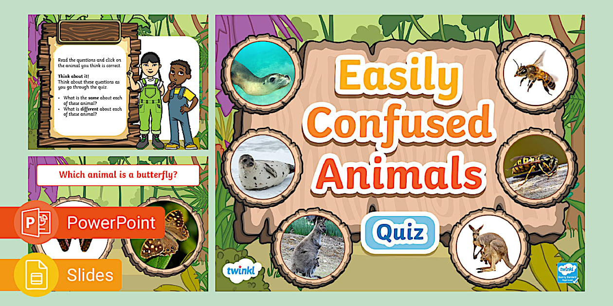 Easily Confused Animals Quiz (teacher made) - Twinkl
