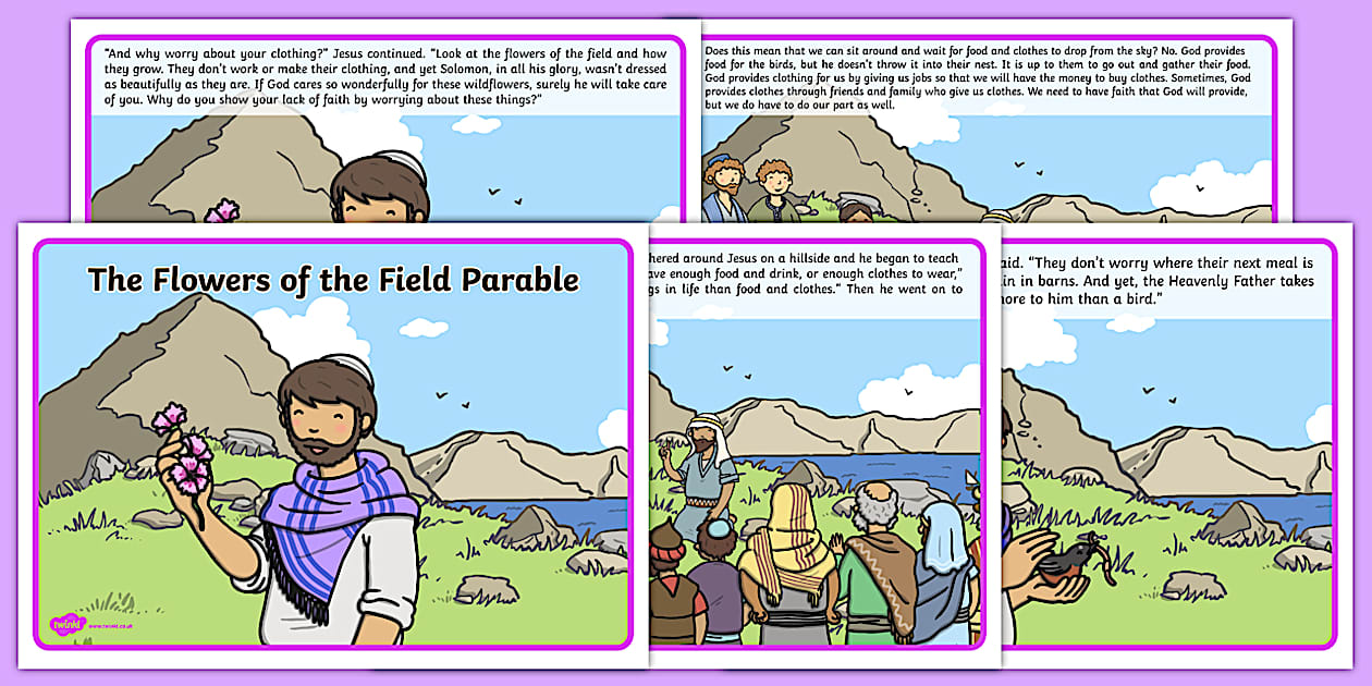 The Flowers of the Field Parable (teacher made) - Twinkl