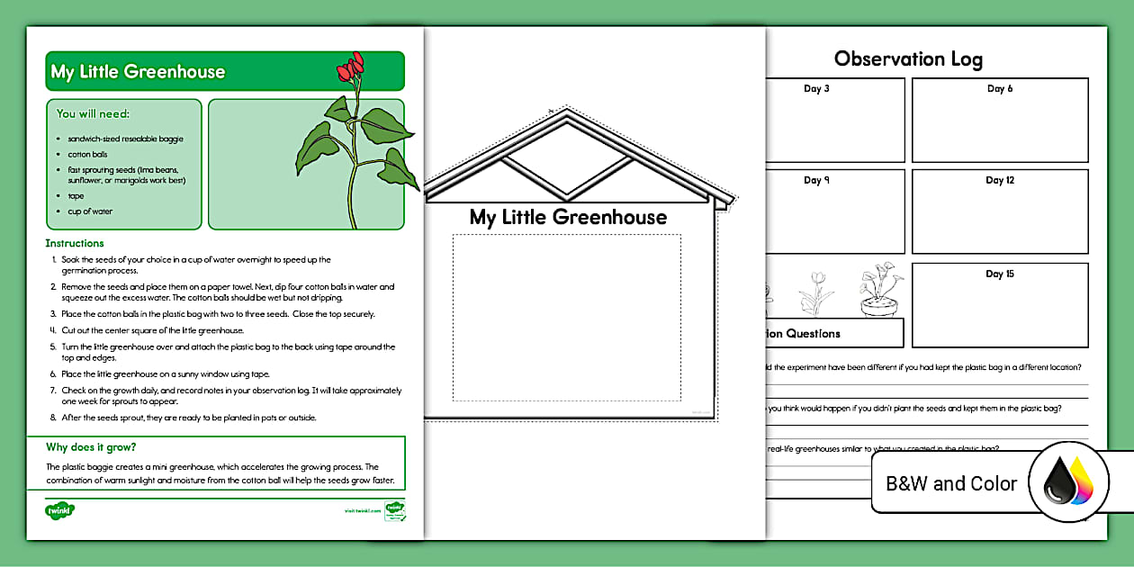 My Little Greenhouse Science Worksheet for K-2nd Grade