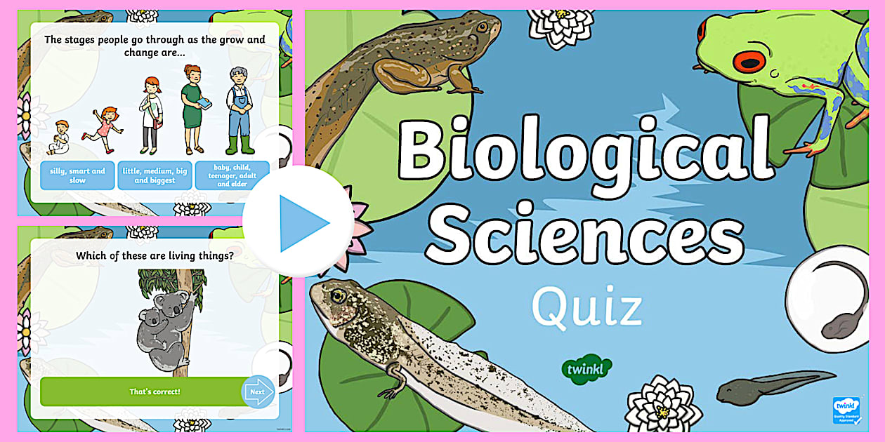 Year 2 Biological Sciences Quiz PowerPoint (teacher made)