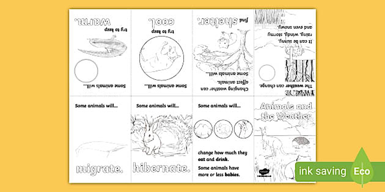 Animals and the Weather Activity Booklet (teacher made)