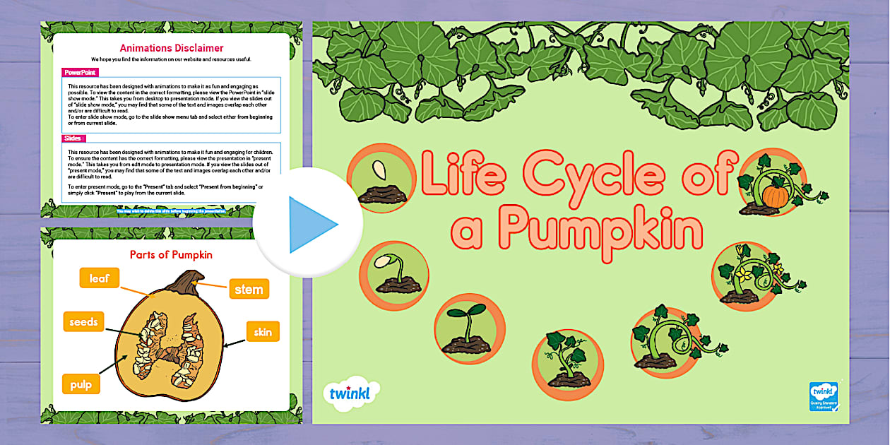Life Cycle of a Pumpkin PowerPoint & Google Slides