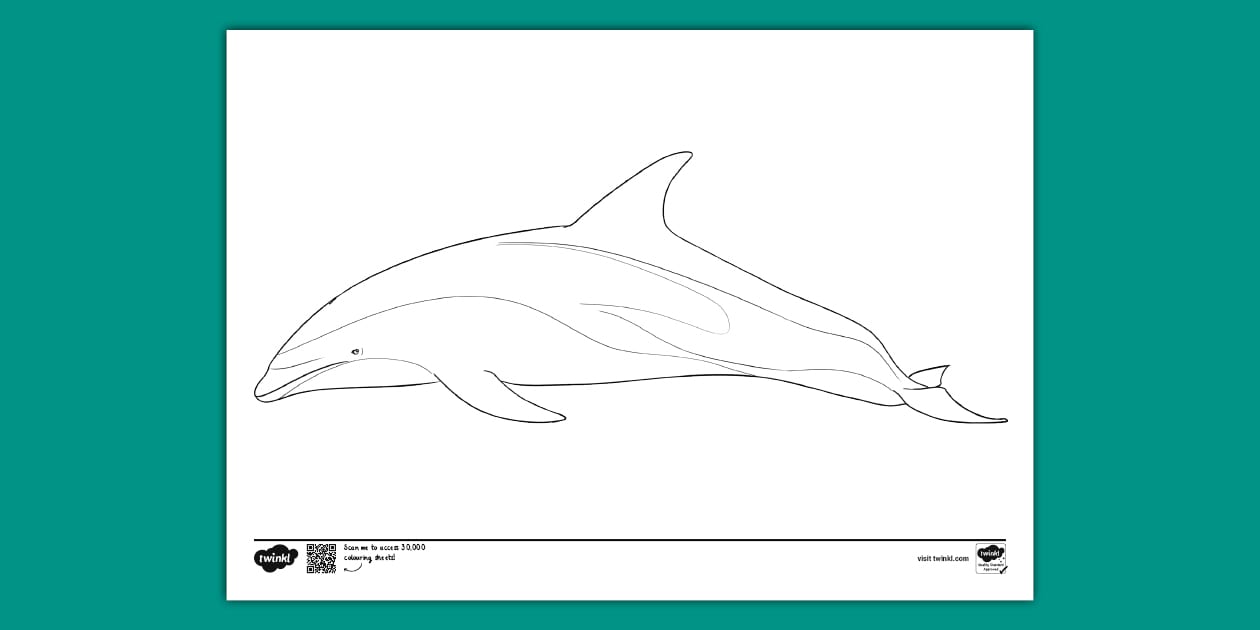 Free Printable Dolphin Colouring Page | Colouring Sheet