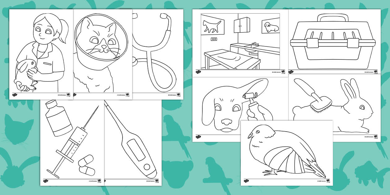 My First Vets Colouring Pack (teacher made) - Twinkl