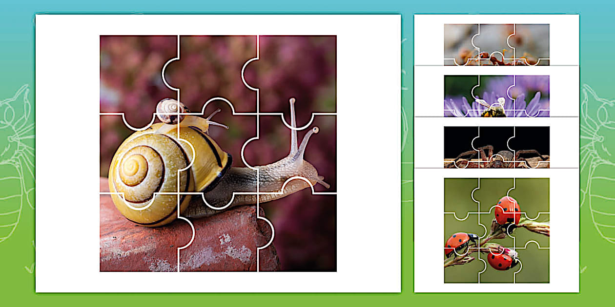 Bug Puzzle Printable – Insect Matching for Early Learners