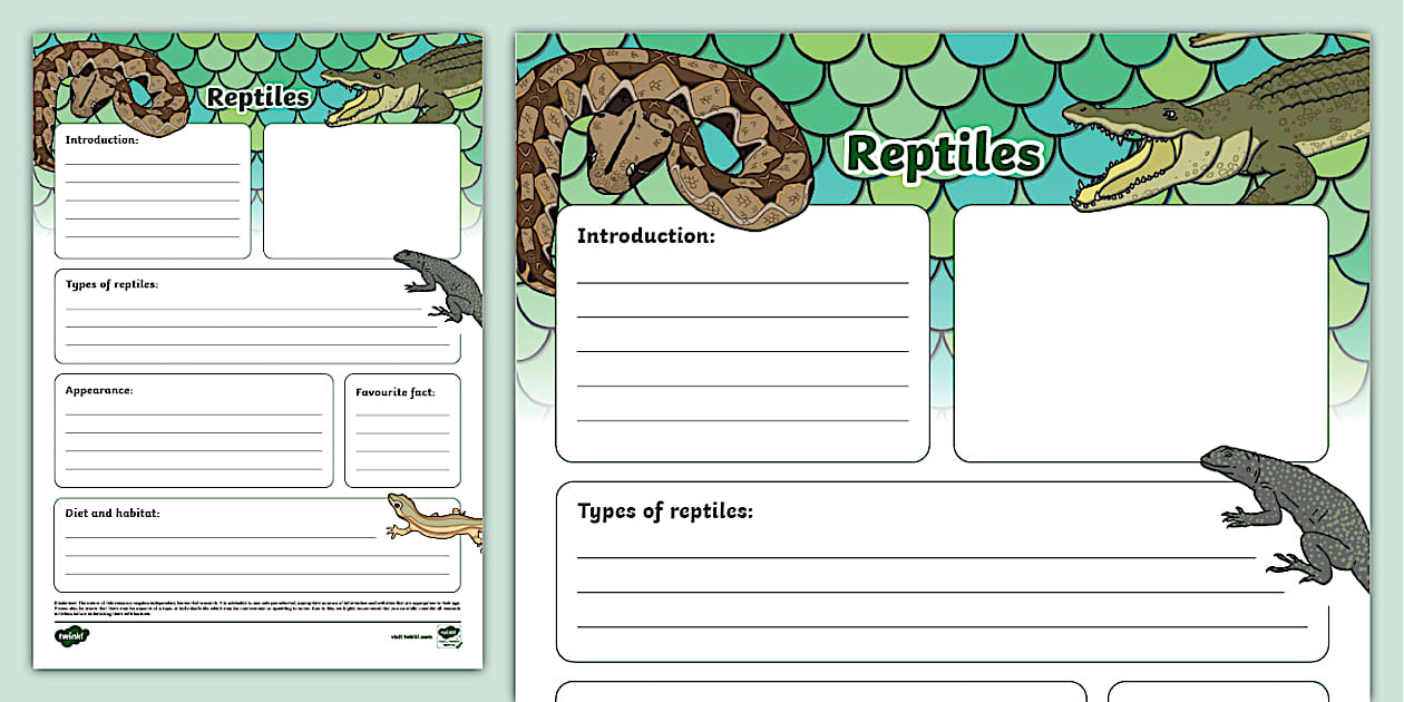 Reptiles Non-Chronological Report Template (teacher made)
