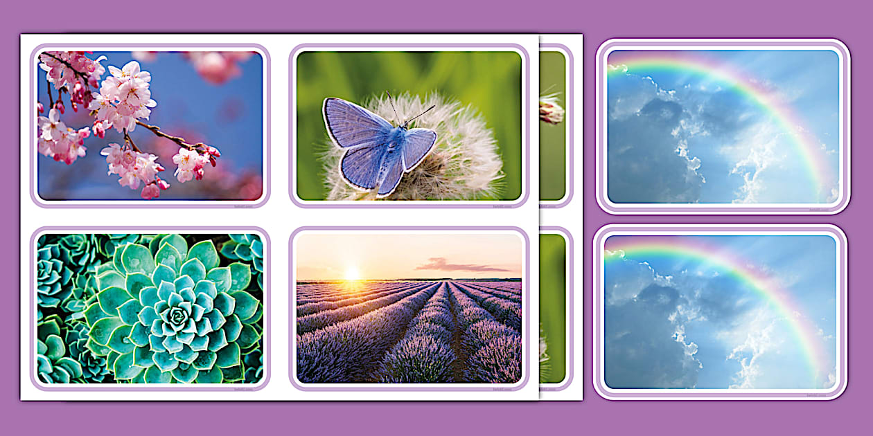 Colours in Nature Photo Matching Pairs Game | Twinkl
