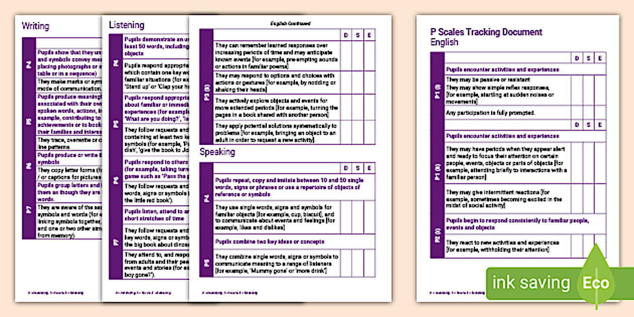 P Scales Tracking English Pocket Book (teacher made)