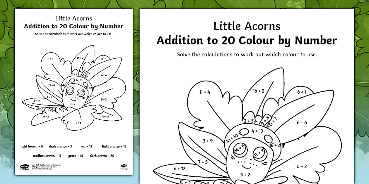 Little Acorns Addition to 20 Colour by Number - Twinkl