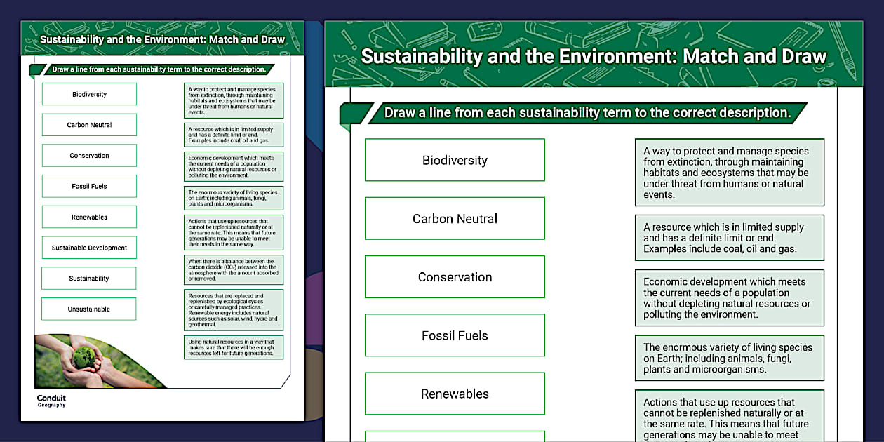 Sustainability and the Environment: Match and Draw - Twinkl