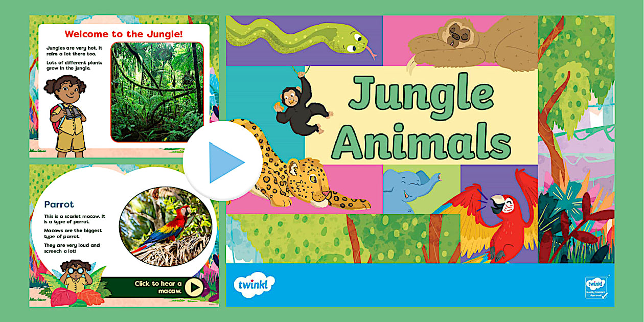 Kindergarten Jungle Animal Sounds for Kids PowerPoint