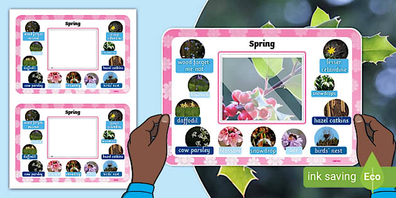 I Spy Nature Frame: Spring (Teacher-Made) - Twinkl