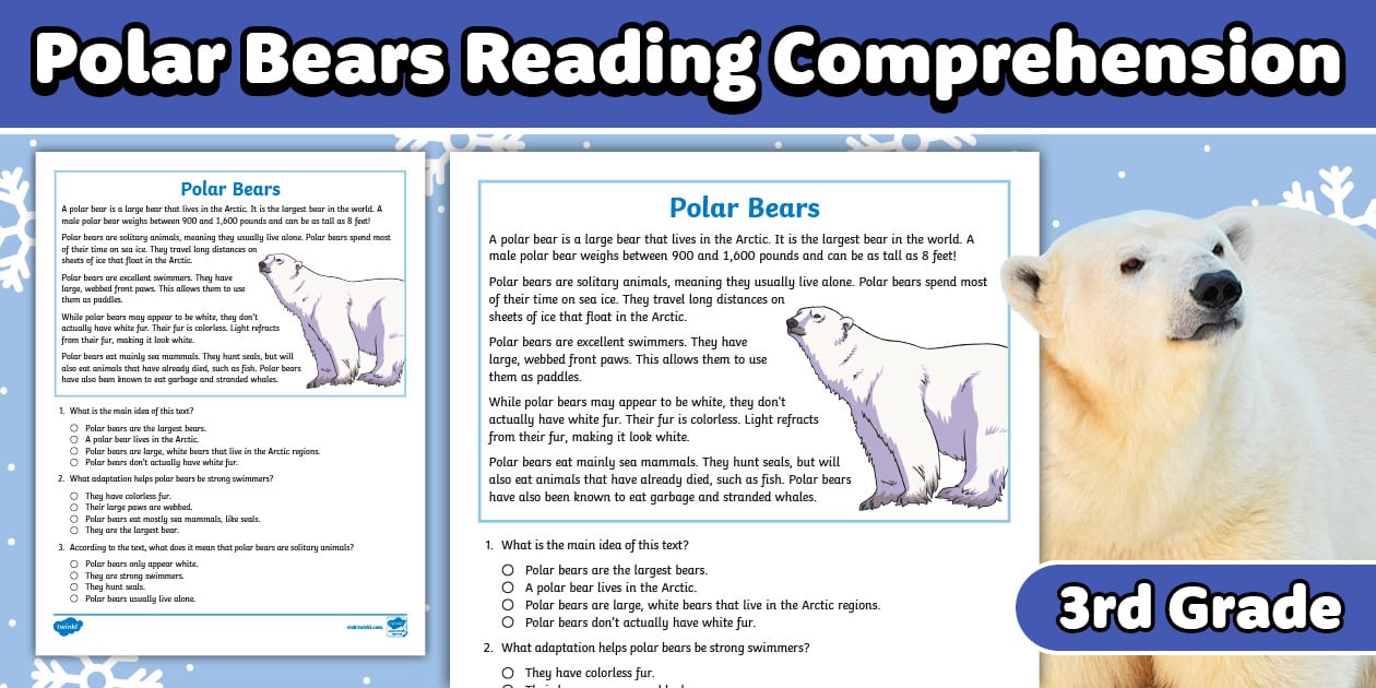 Third Grade Polar Bears Reading Passage Comprehension