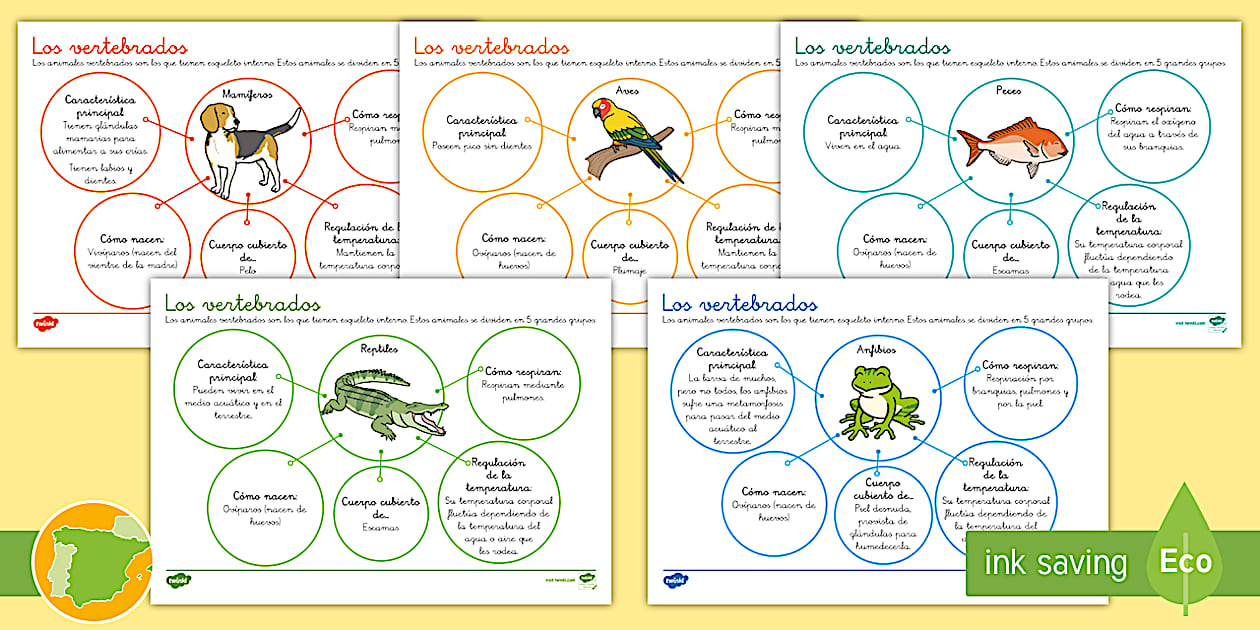 Recurso educativo: ficha de los animales vertebrados