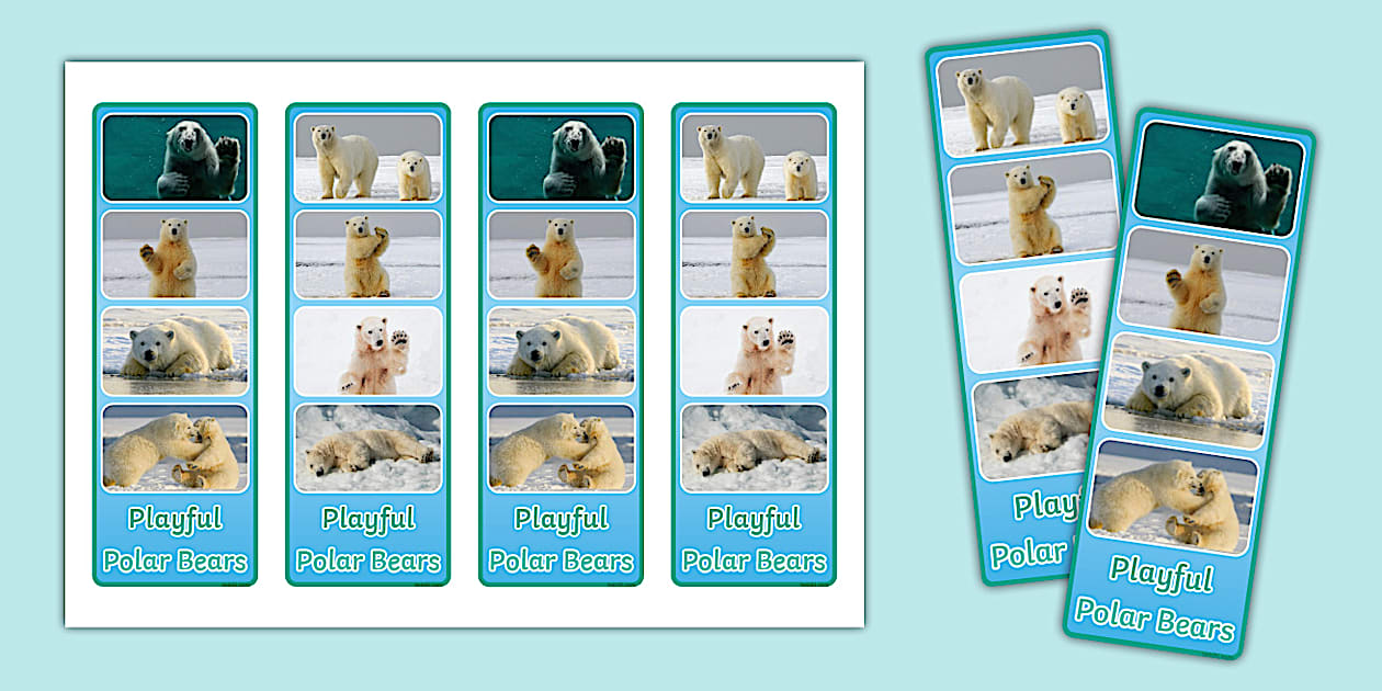 Polar Bear Photo Strip Bookmarks (teacher made) - Twinkl