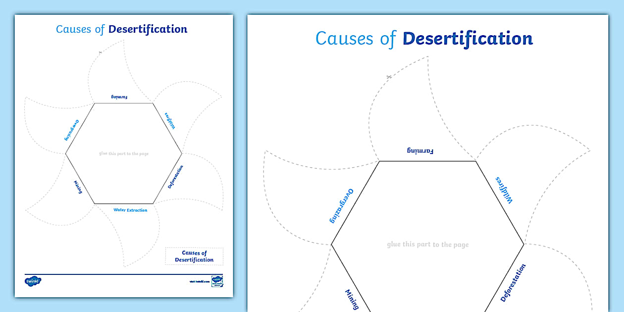 Causes of Desertification Flower Foldable (teacher made)