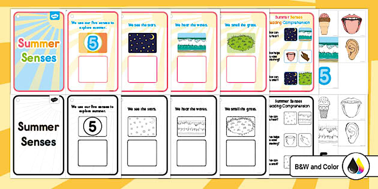 Summer 5 Senses Adapted Reader | SPED Resource | Twinkl USA