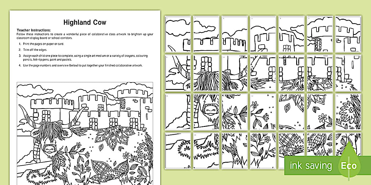 Highland Cow Collaborative Colouring Activity Pack - Twinkl